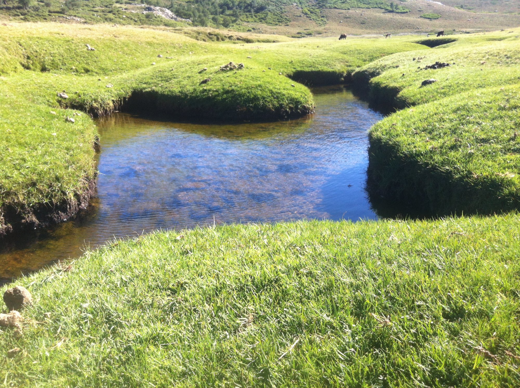 Niolu, terre de bergers