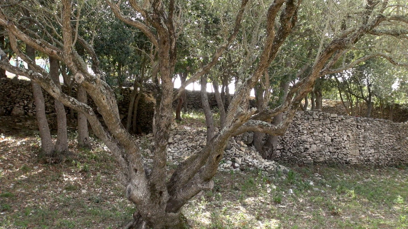 A Strada Vecchia Bonifacio